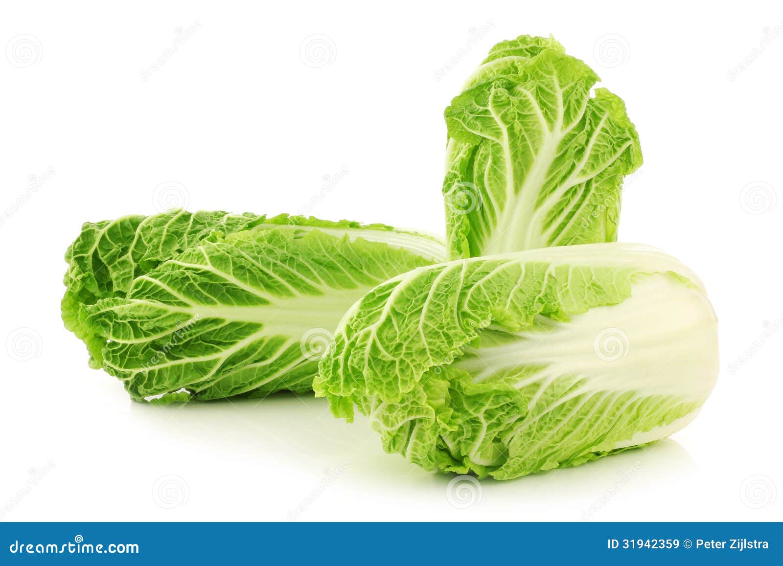 Fresh chinese cabbage stock image. Image of salad, ingredient - 31942359