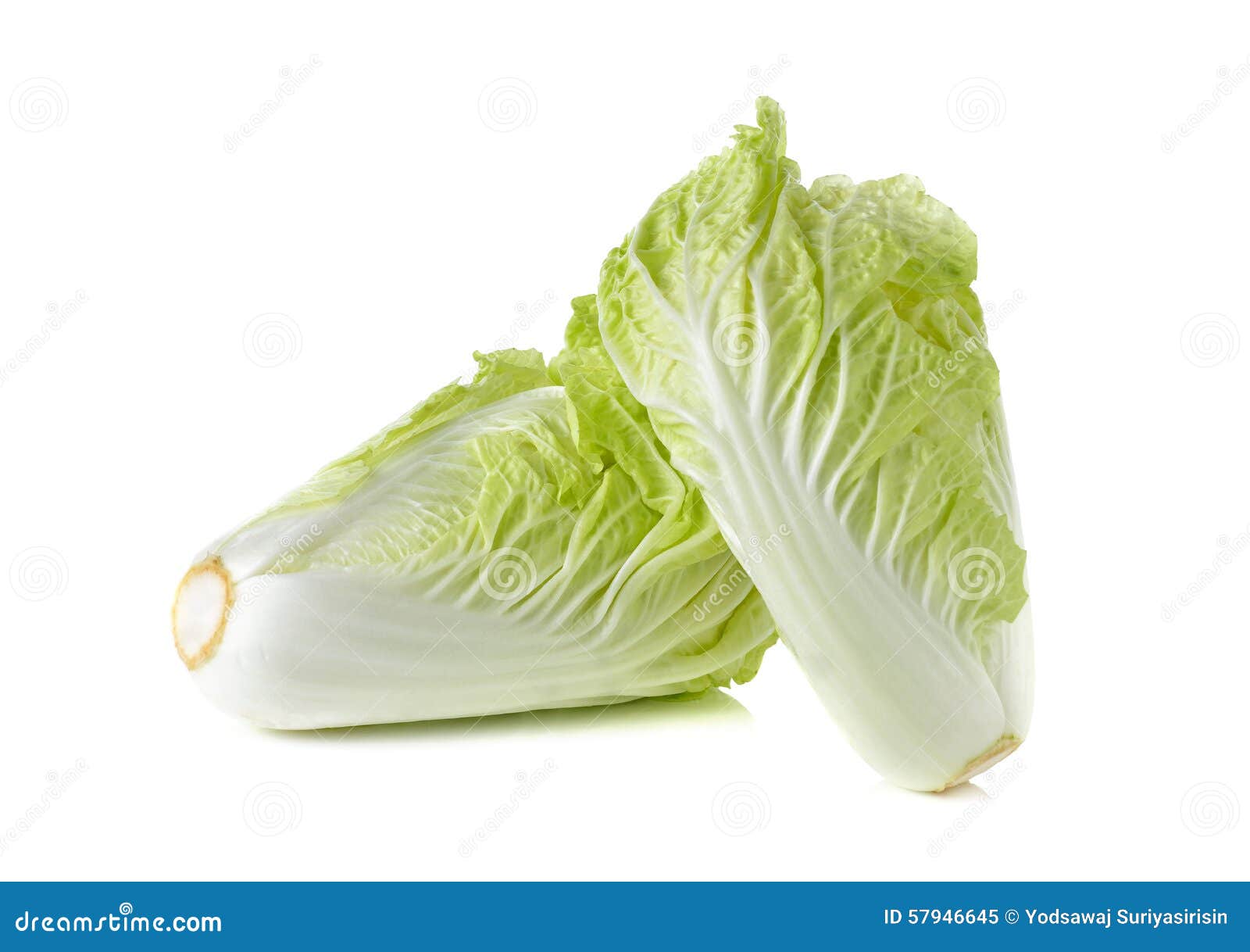 Fresh Chinese Cabbage on White Stock Image - Image of head, salad: 57946645