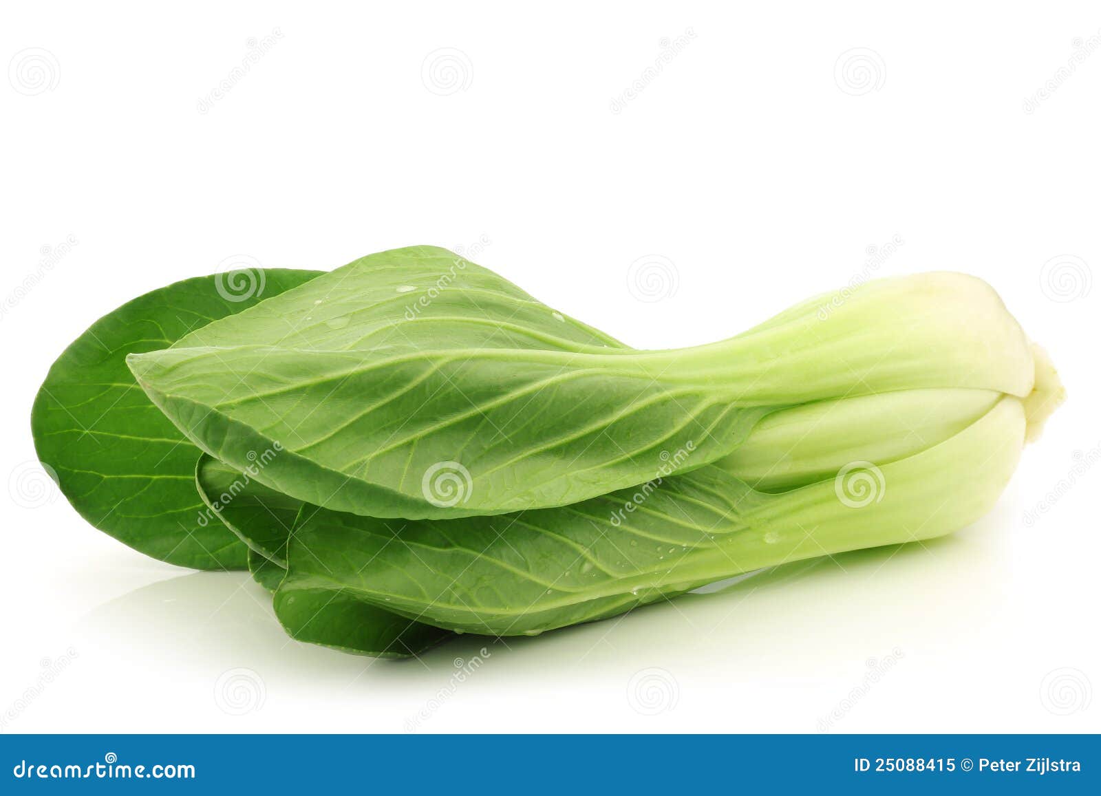 Fresh chinese paksoi stock image. Image of produce, fiber - 25088415