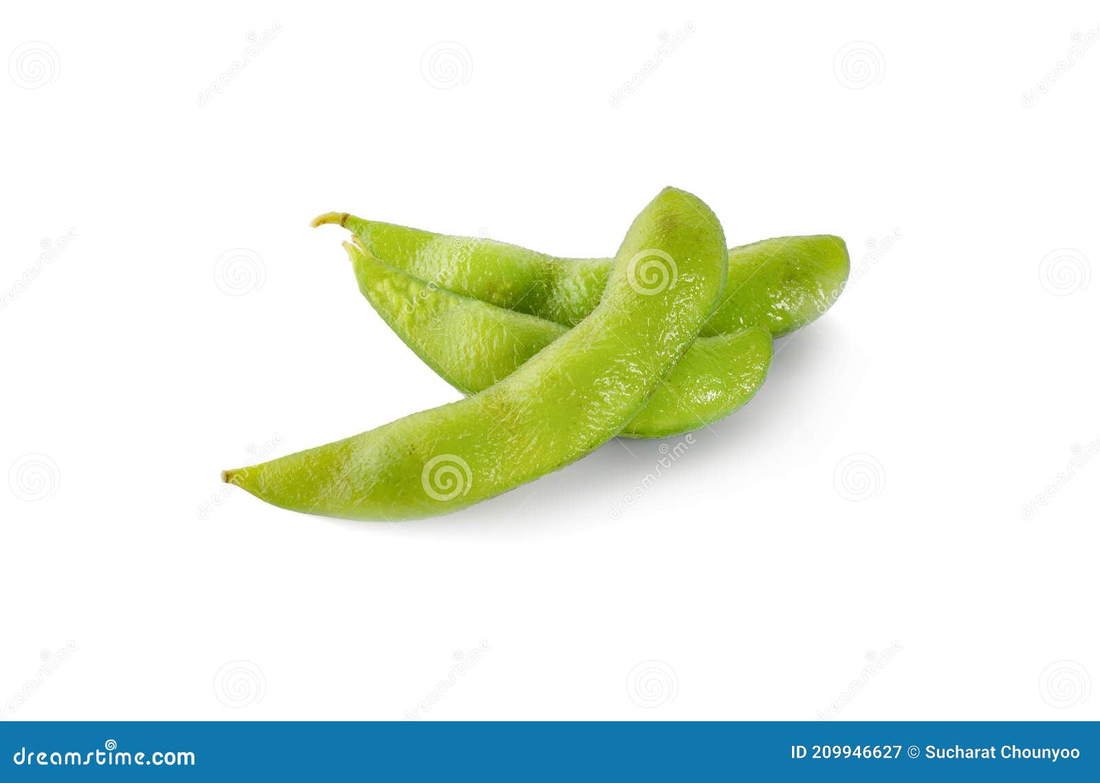 Fresh Chinese Soybean Isolated on White Background Stock Image - Image ...