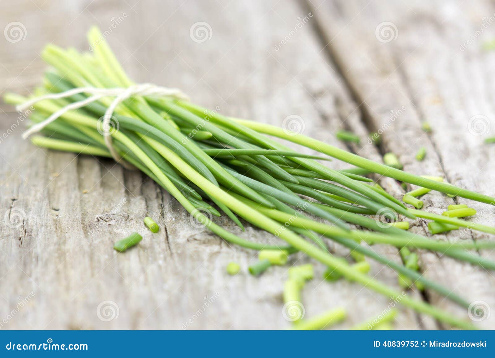Fresh chive stock photo. Image of vegetable, cuisine - 40839752