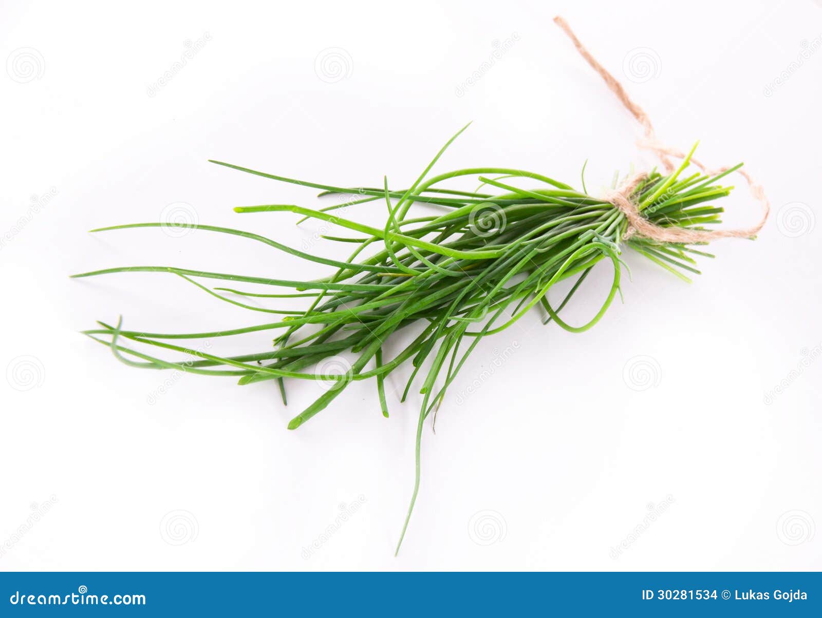 Fresh chive stock photo. Image of background, green, seasoning - 30281534