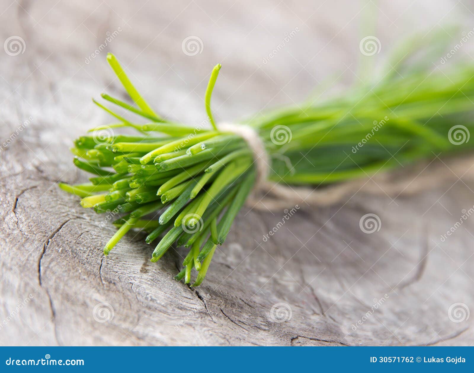Fresh chive stock photo. Image of crush, grinder, organic - 30571762