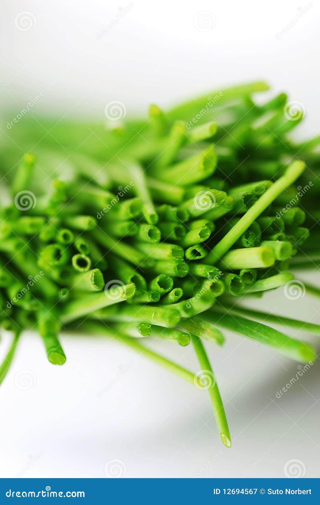Fresh chives stock image. Image of cooking, cook, spiral - 12694567