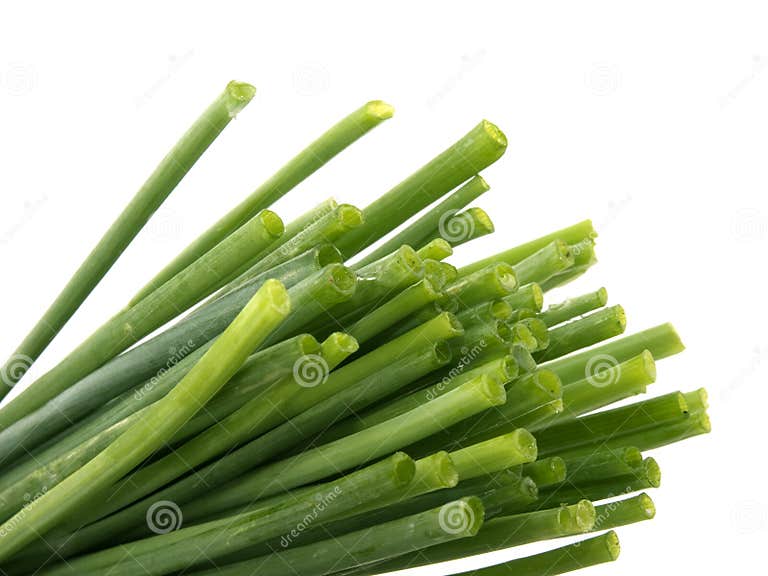 Fresh chives stock photo. Image of isolated, aromatic - 15468304