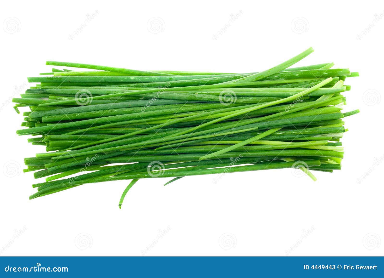 Fresh chives herb stock image. Image of flavouring, botanical - 4449443