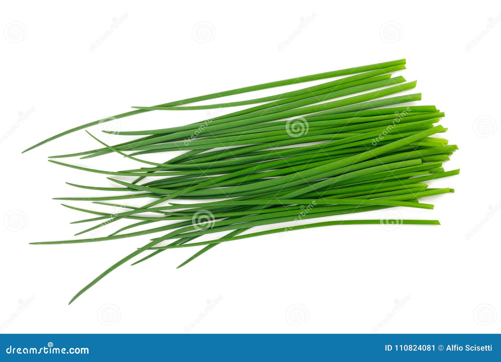 Fresh Chives bunch stock image. Image of schoenoprasum - 110824081