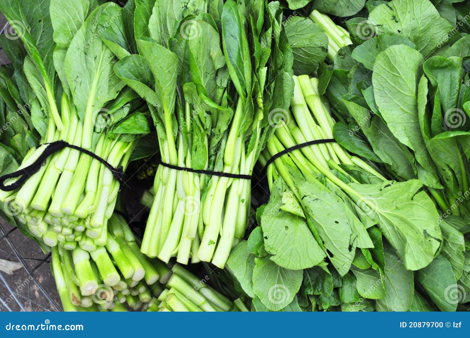 Fresh choi sum stock photo. Image of young, market, choi - 20879700