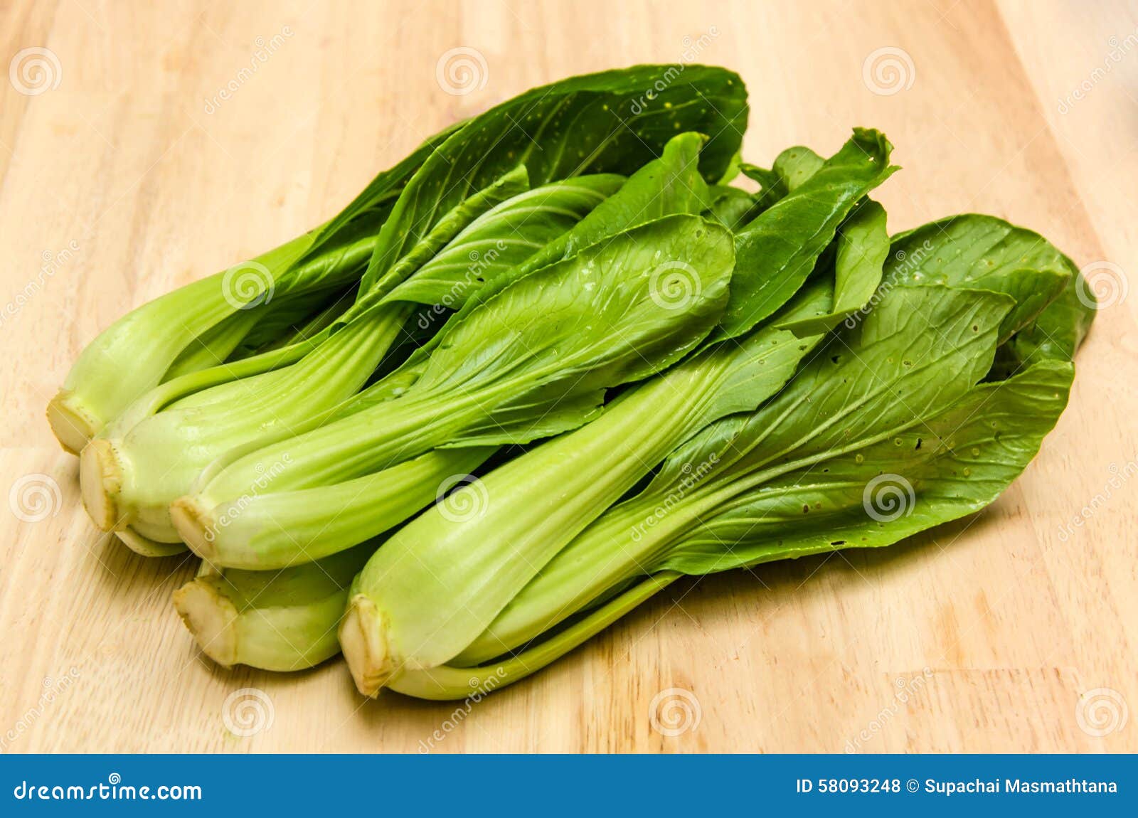 Fresh Choy stock photo. Image of fibre, light, leafy - 58093248