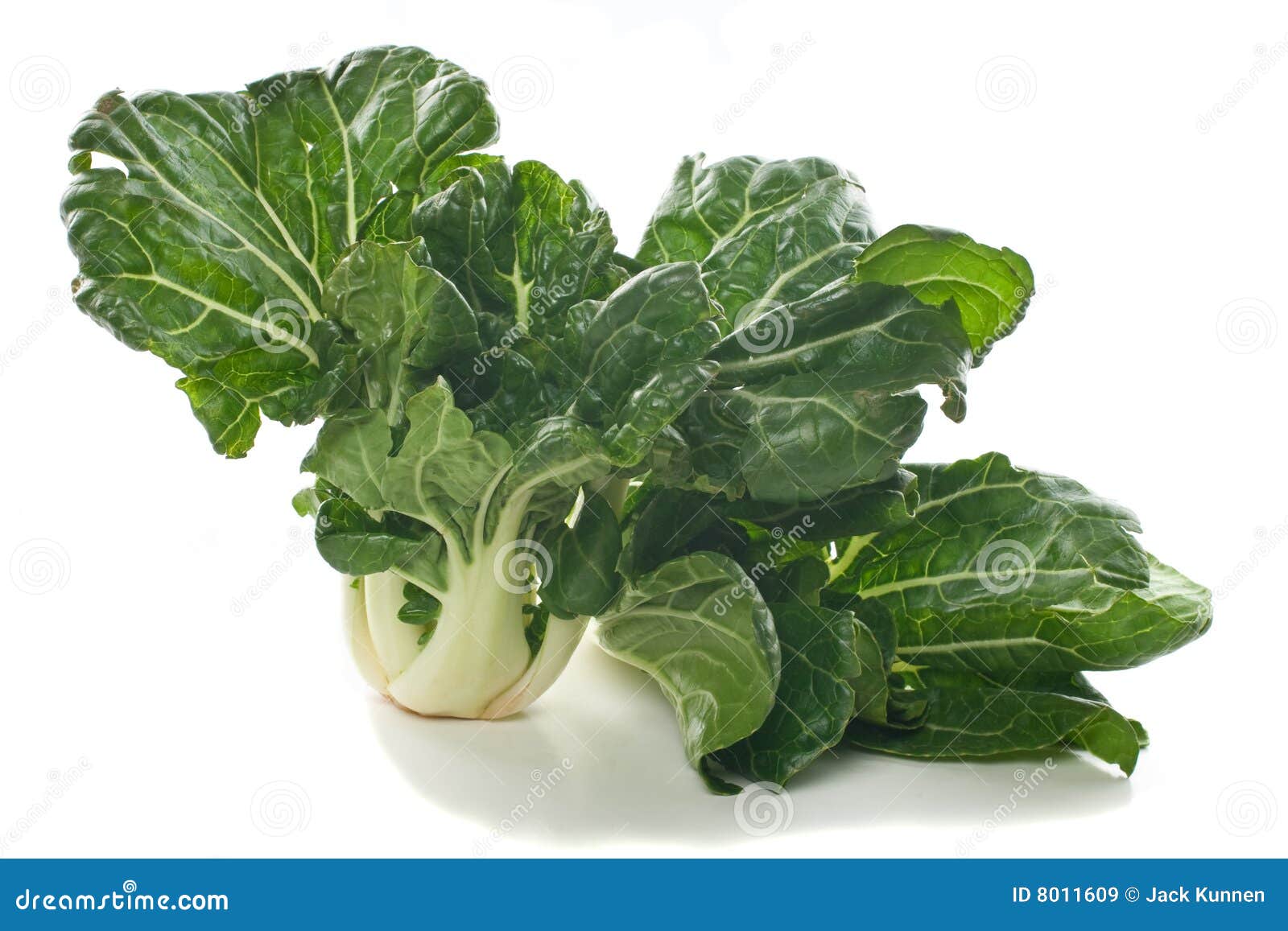 Fresh Choy Sum stock image. Image of organic, fresh, flavor - 8011609