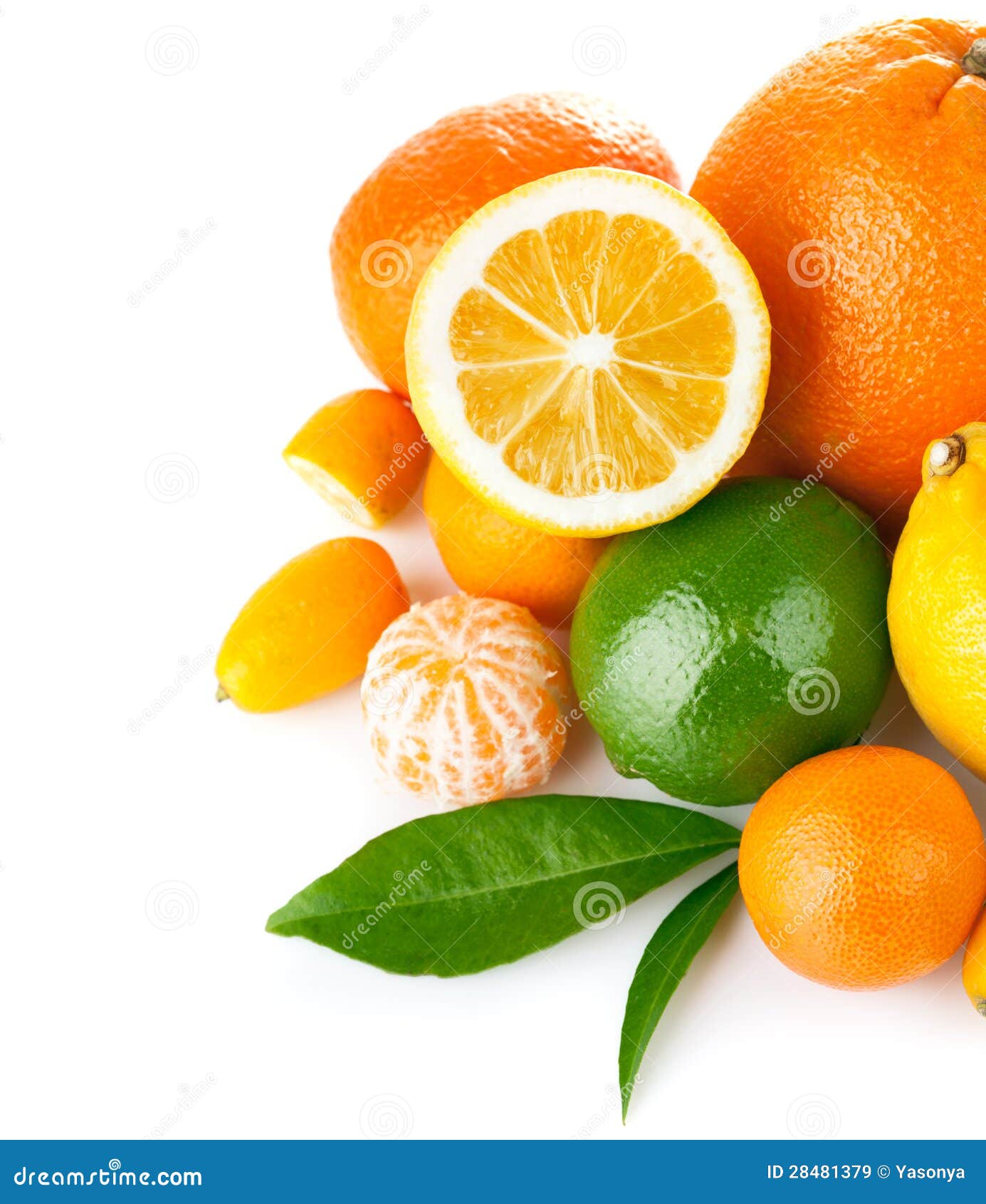 Fresh Citrus Fruit with Green Leaf Stock Image - Image of leaves, fresh ...