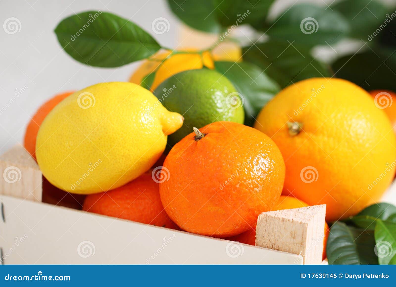 Fresh Citrus Fruits in the Box Stock Photo - Image of closeup, nature ...