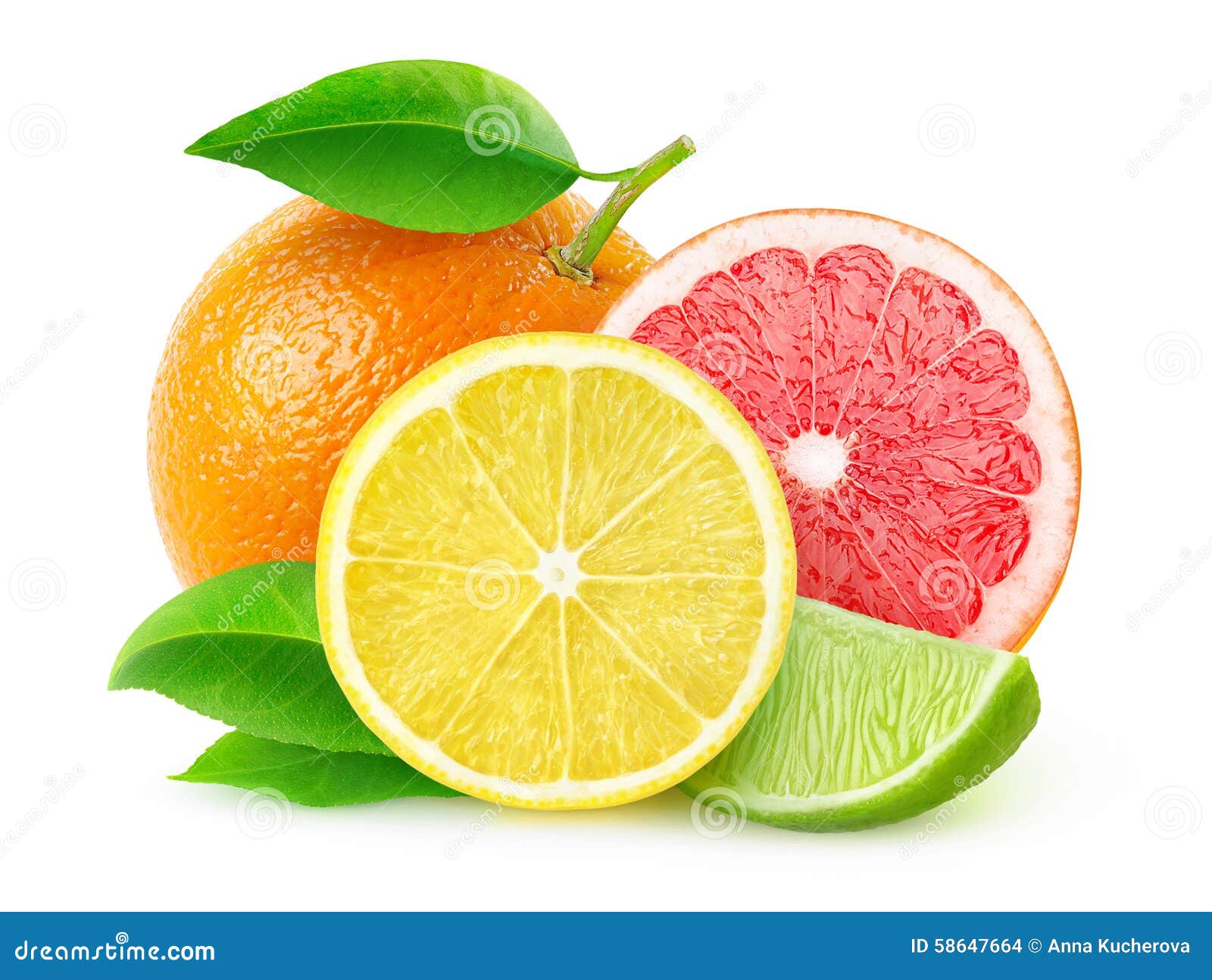 Fresh citrus fruits stock photo. Image of orange, group - 58647664