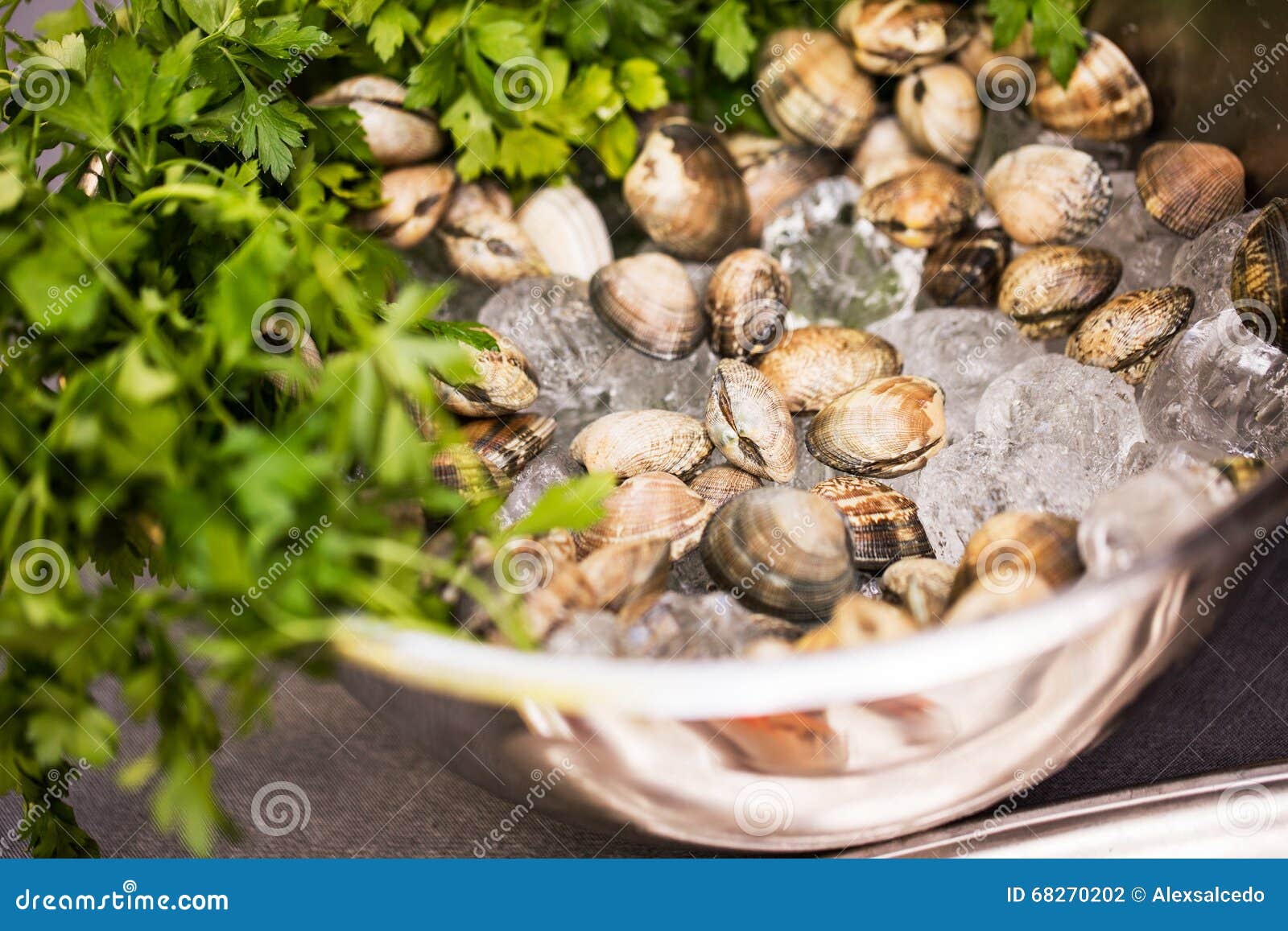 Fresh clams stock photo. Image of fresh, cockle, delicious - 68270202