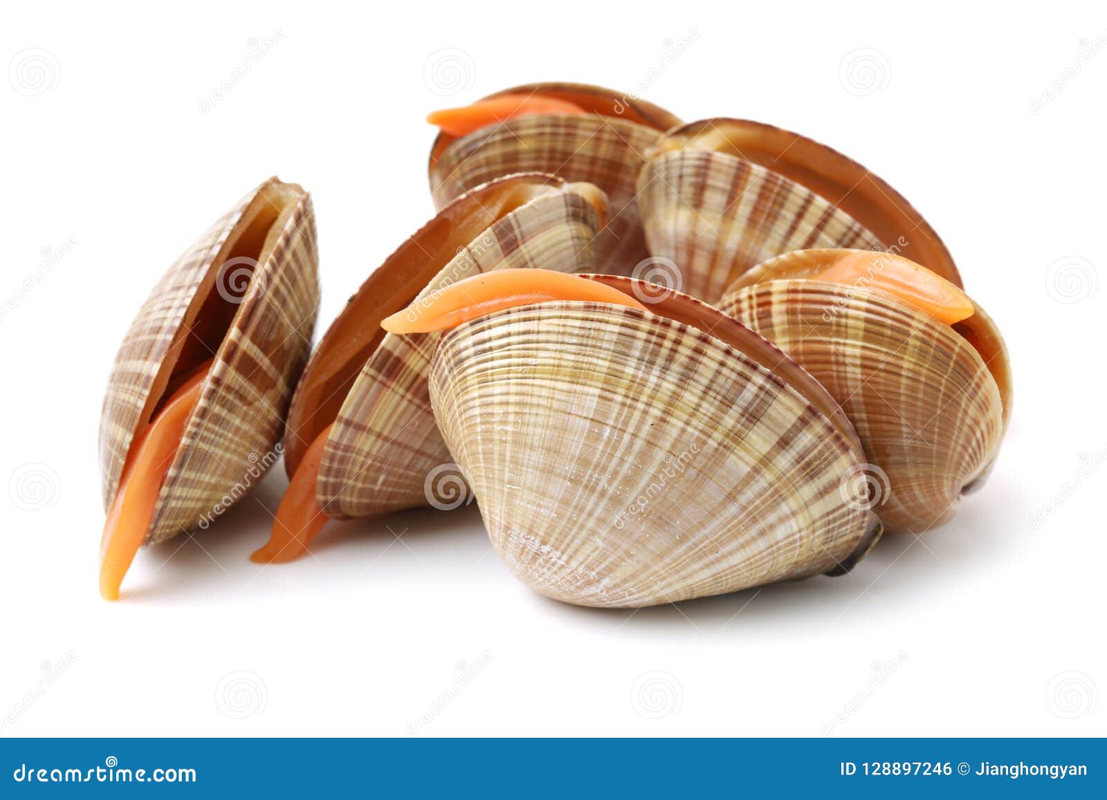 Fresh clams stock photo. Image of healthy, food, chowder - 128897246