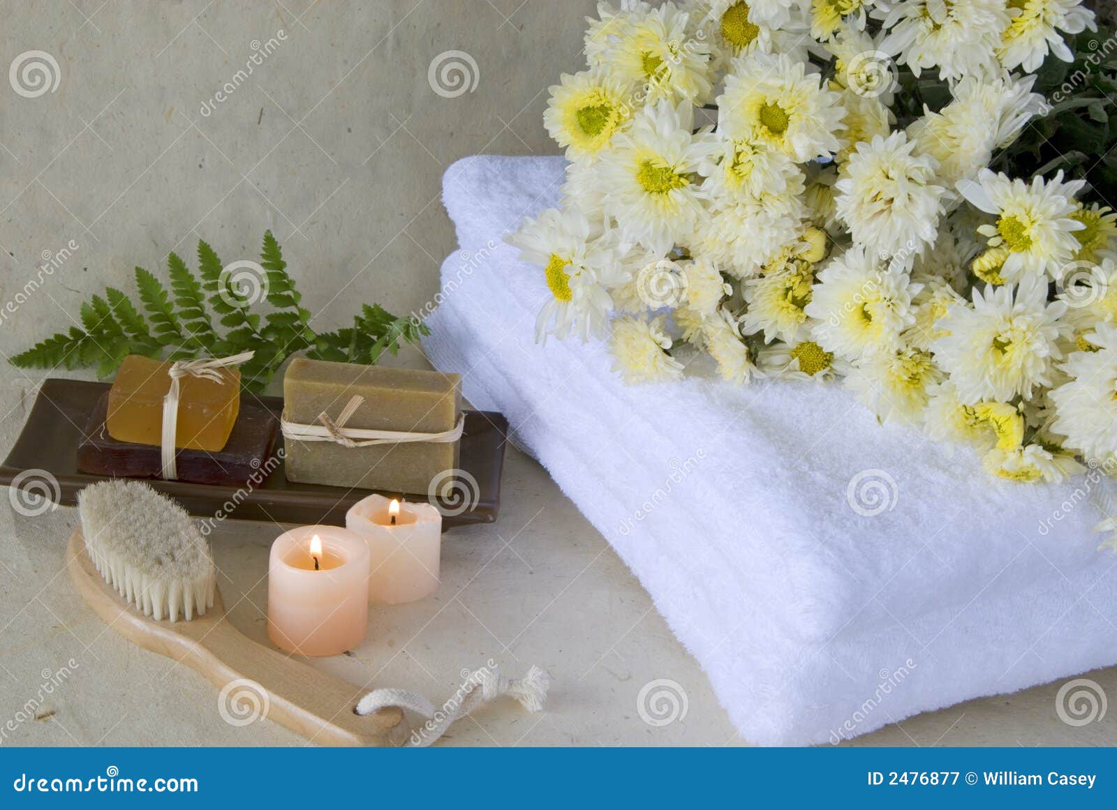 Fresh and clean stock image. Image of health, alternative - 2476877