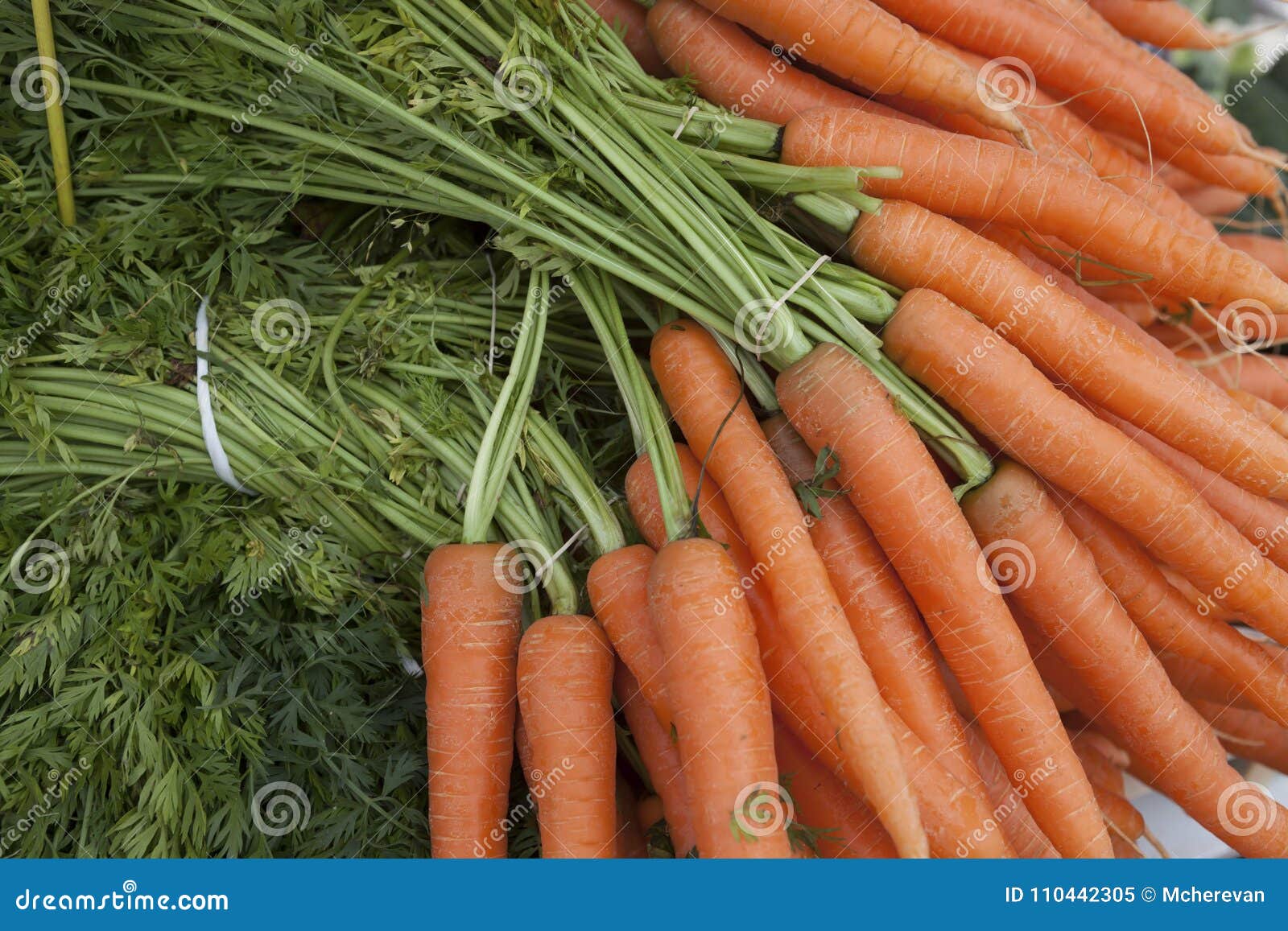 Fresh Clean Carrots with Foliage on the Market Stock Image - Image of ...