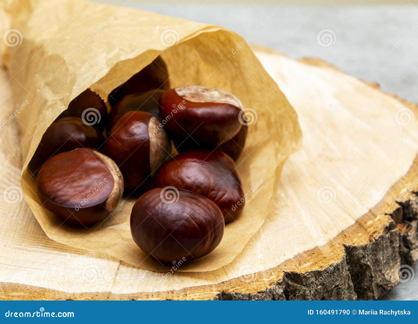 Fresh Clean Shiny Chestnuts in Paper Wrapping Stock Photo - Image of ...