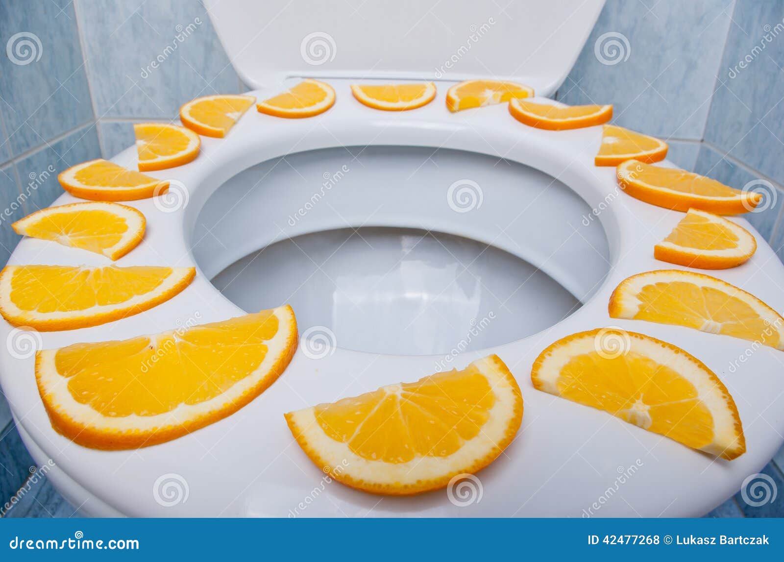 Fresh and Clean Toilet stock photo. Image of freshness - 42477268