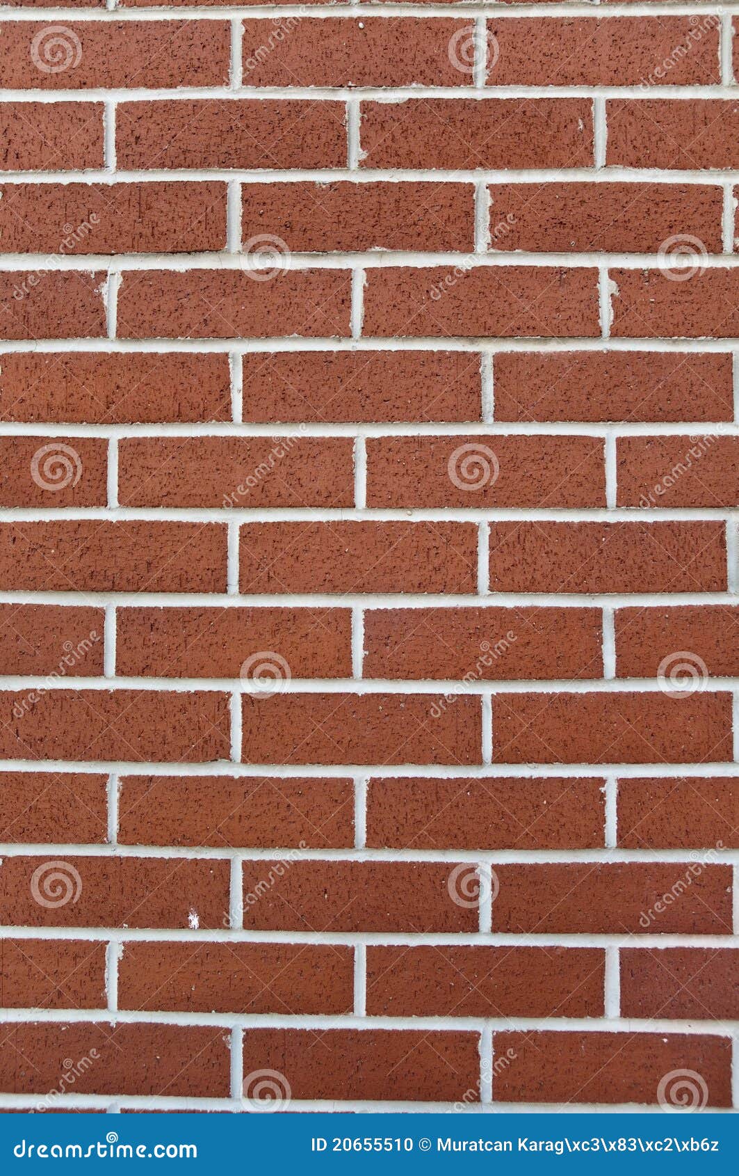 A fresh clear brick wall stock photo. Image of lines - 20655510
