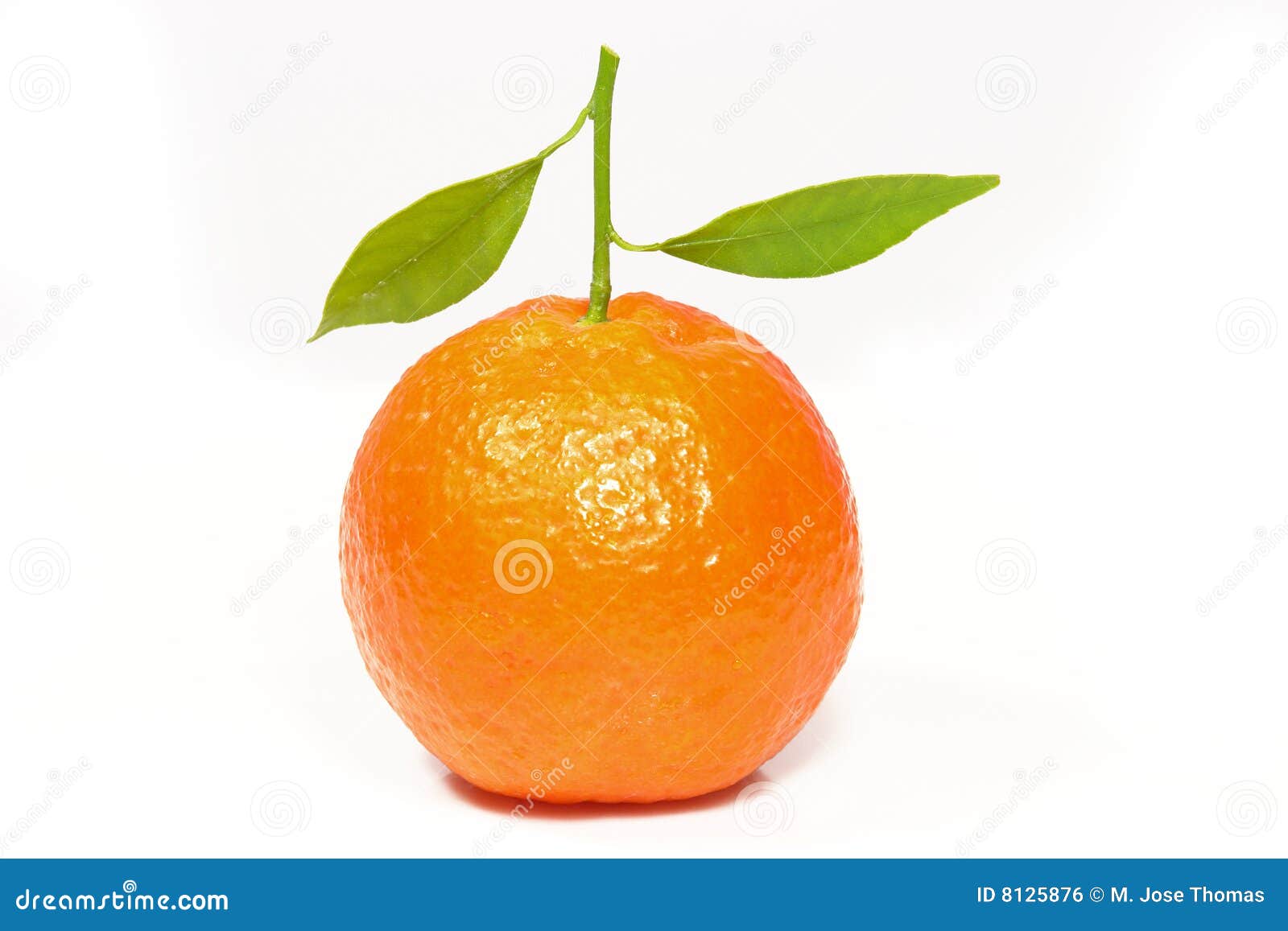 Fresh clementine stock photo. Image of healthy, beauty - 8125876
