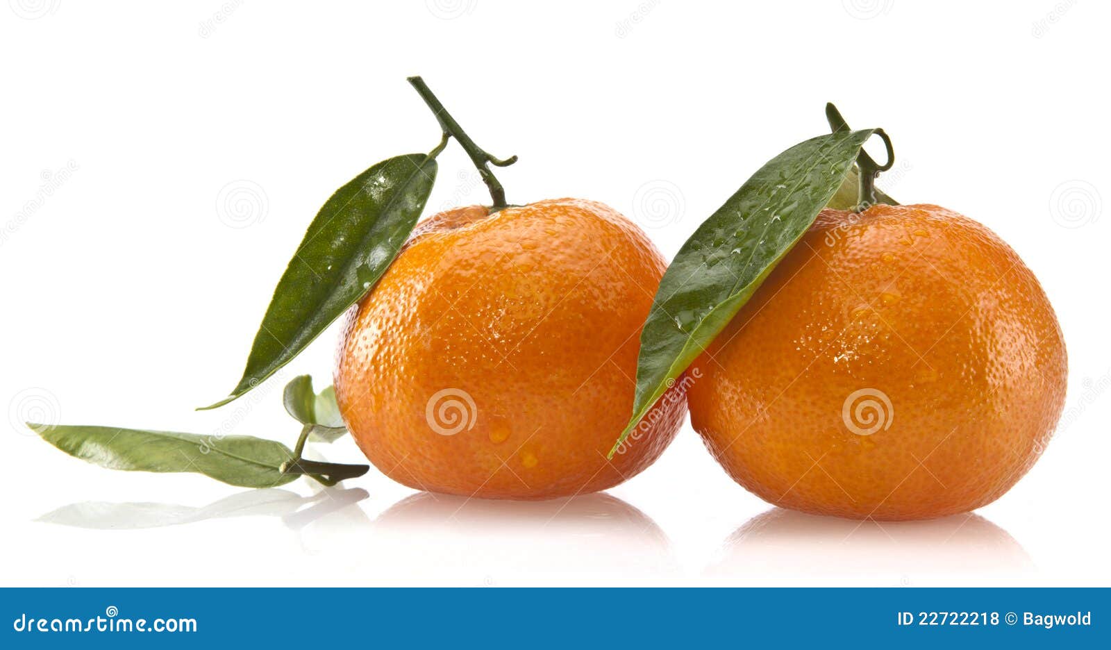 Fresh Clementines with Leafs Stock Photo - Image of diet, citrus: 22722218