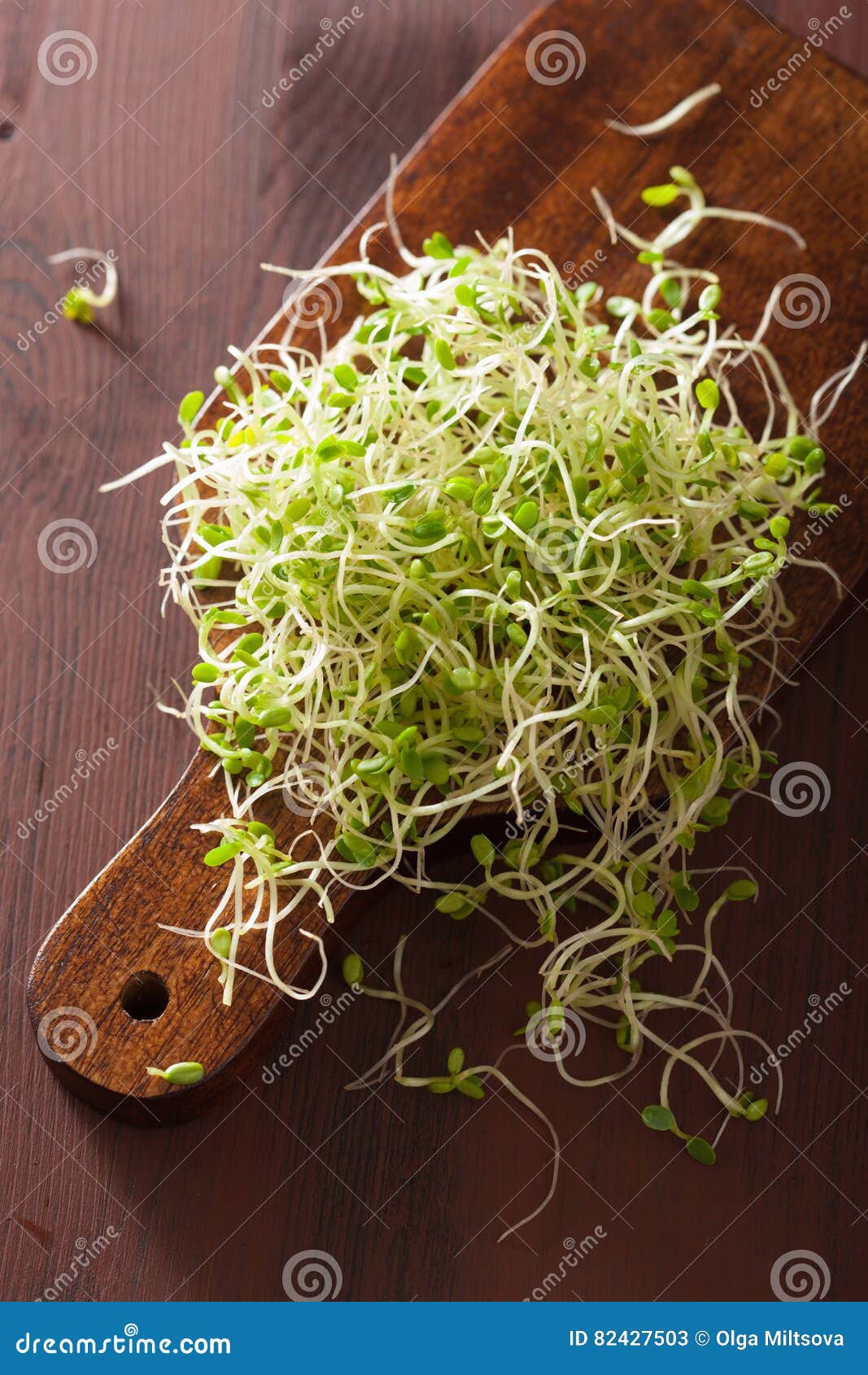 Fresh Clover Sprouts Healthy Food Stock Image - Image of black ...