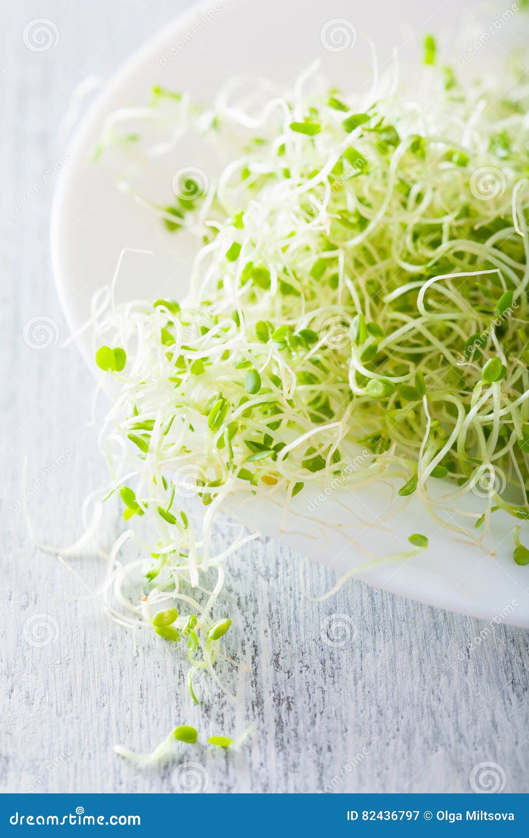 Fresh Clover Sprouts Healthy Food Stock Image - Image of delicate ...