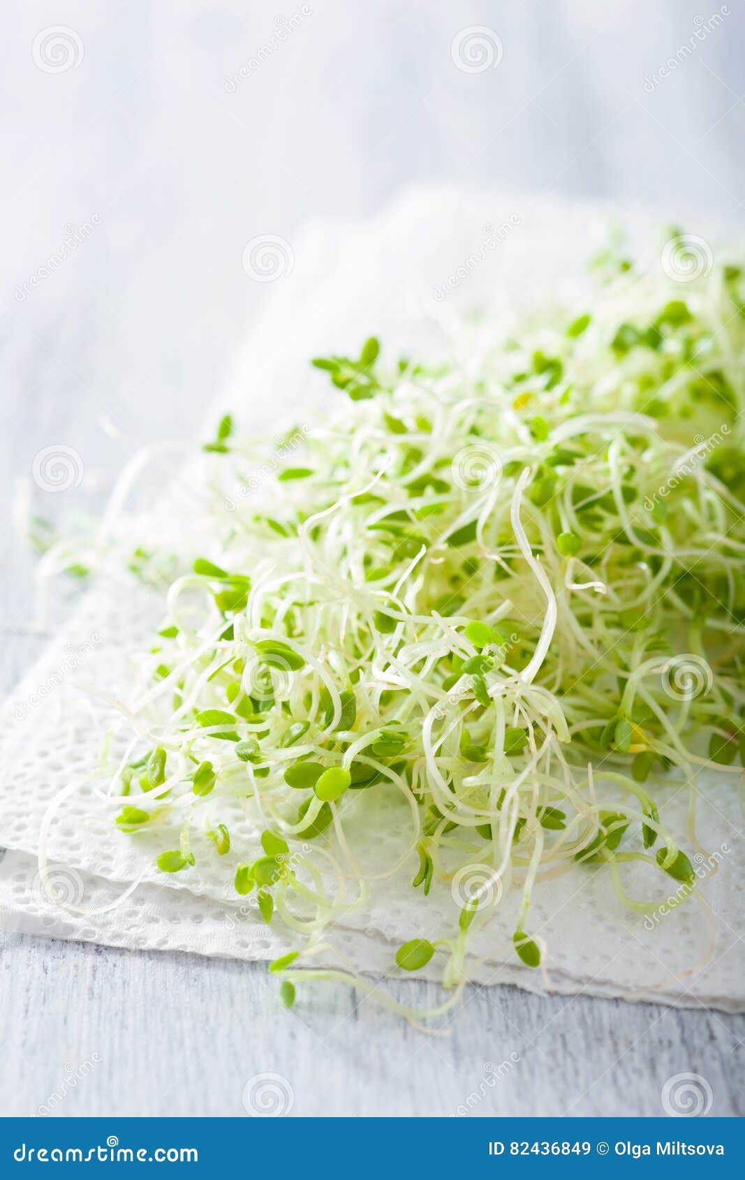 Fresh Clover Sprouts Healthy Food Stock Image - Image of nutrition ...