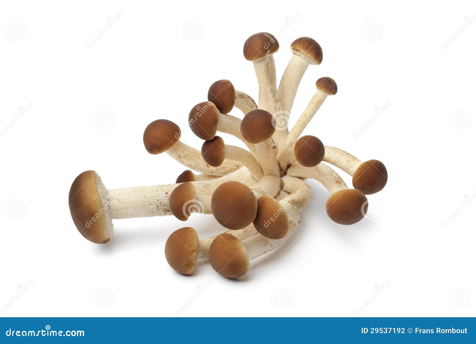 82,182 Fresh Cluster Photos - Free & Royalty-Free Stock Photos from ...