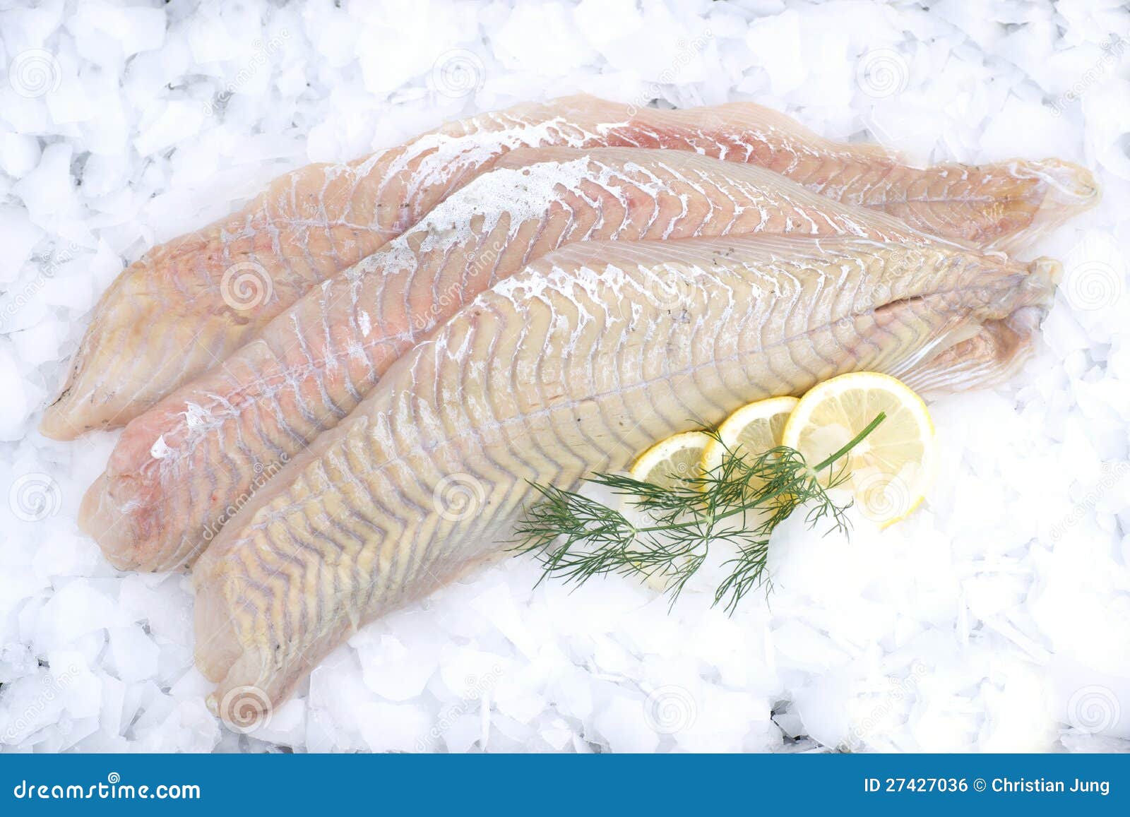 Fresh coalfish stock photo. Image of dill, greenfish - 27427036