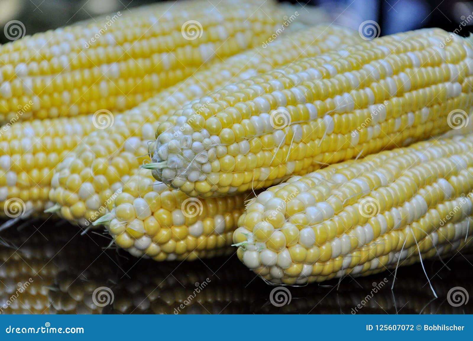 Fresh cobs of corn stock photo. Image of fall, agriculture - 125607072