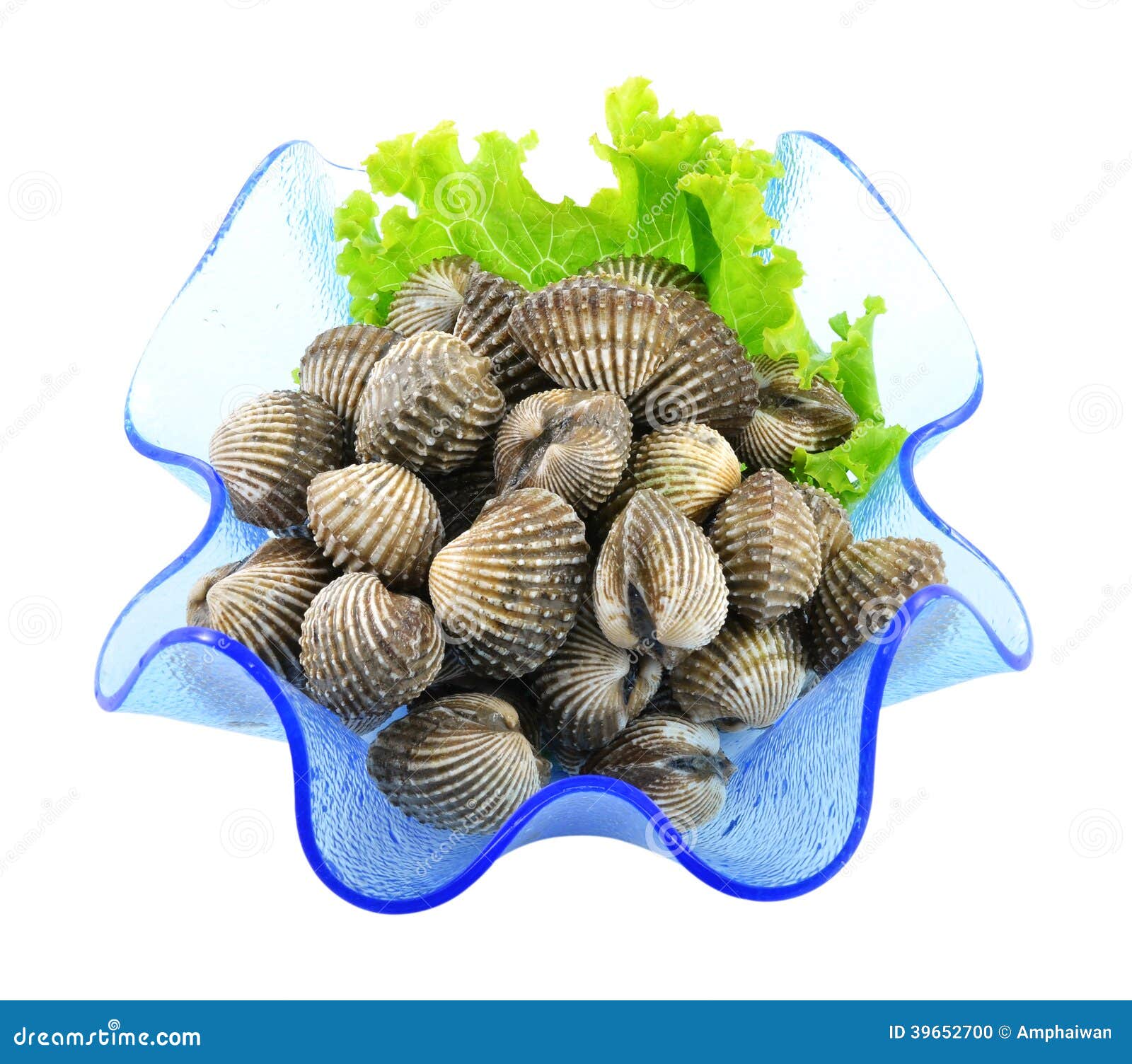 Fresh cockle stock photo. Image of seashell, fresh, seafood - 39652700