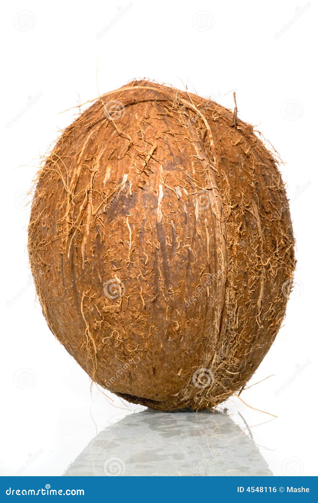 Fresh coco stock photo. Image of hairy, water, liquid - 4548116