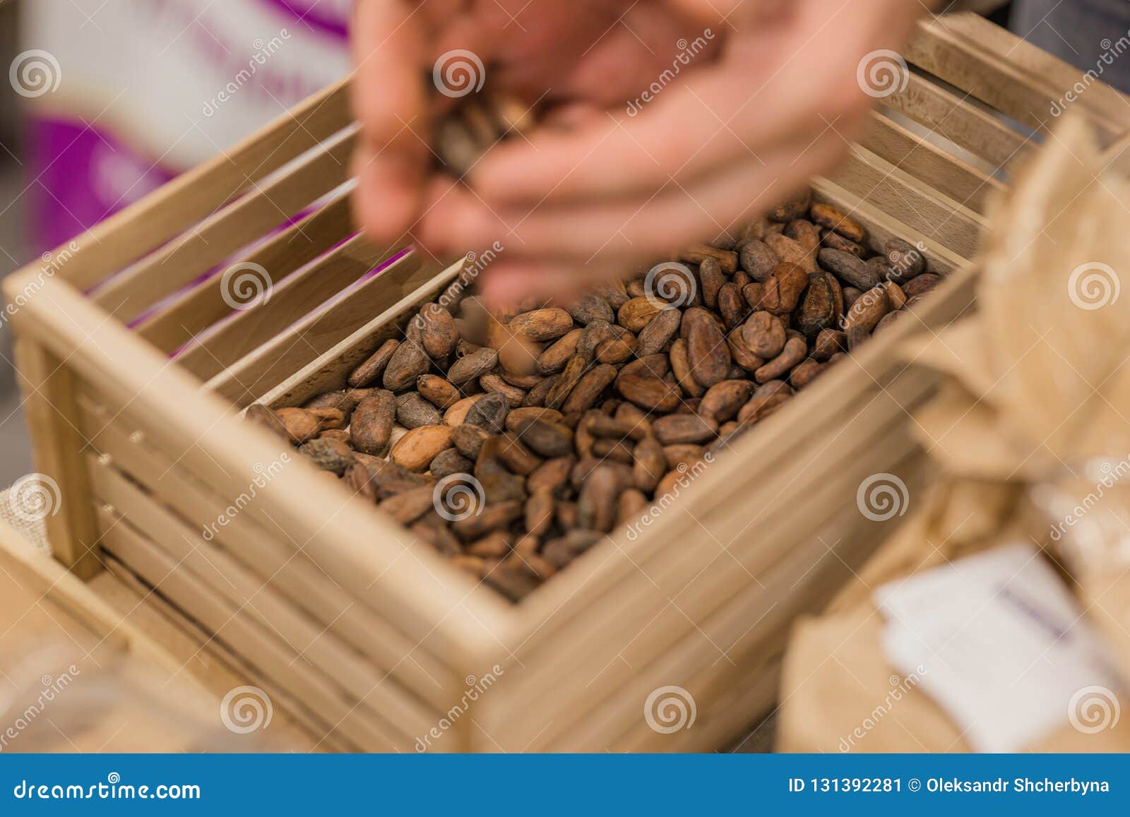 Fresh Cocoa Beans are Poured into a Wooden Box Stock Image - Image of ...