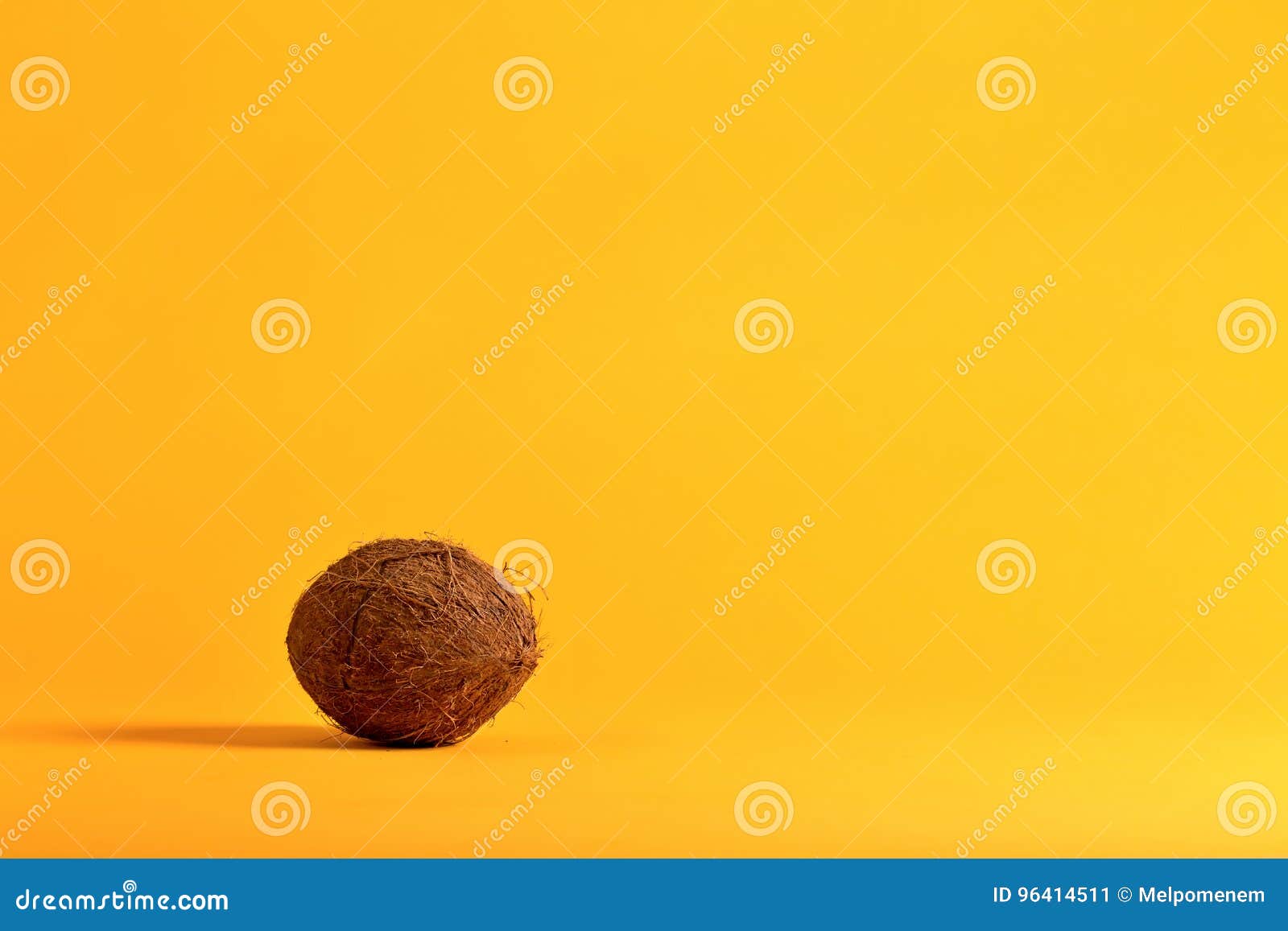 Fresh Coconut on a Bright Yellow Background Stock Image - Image of ...