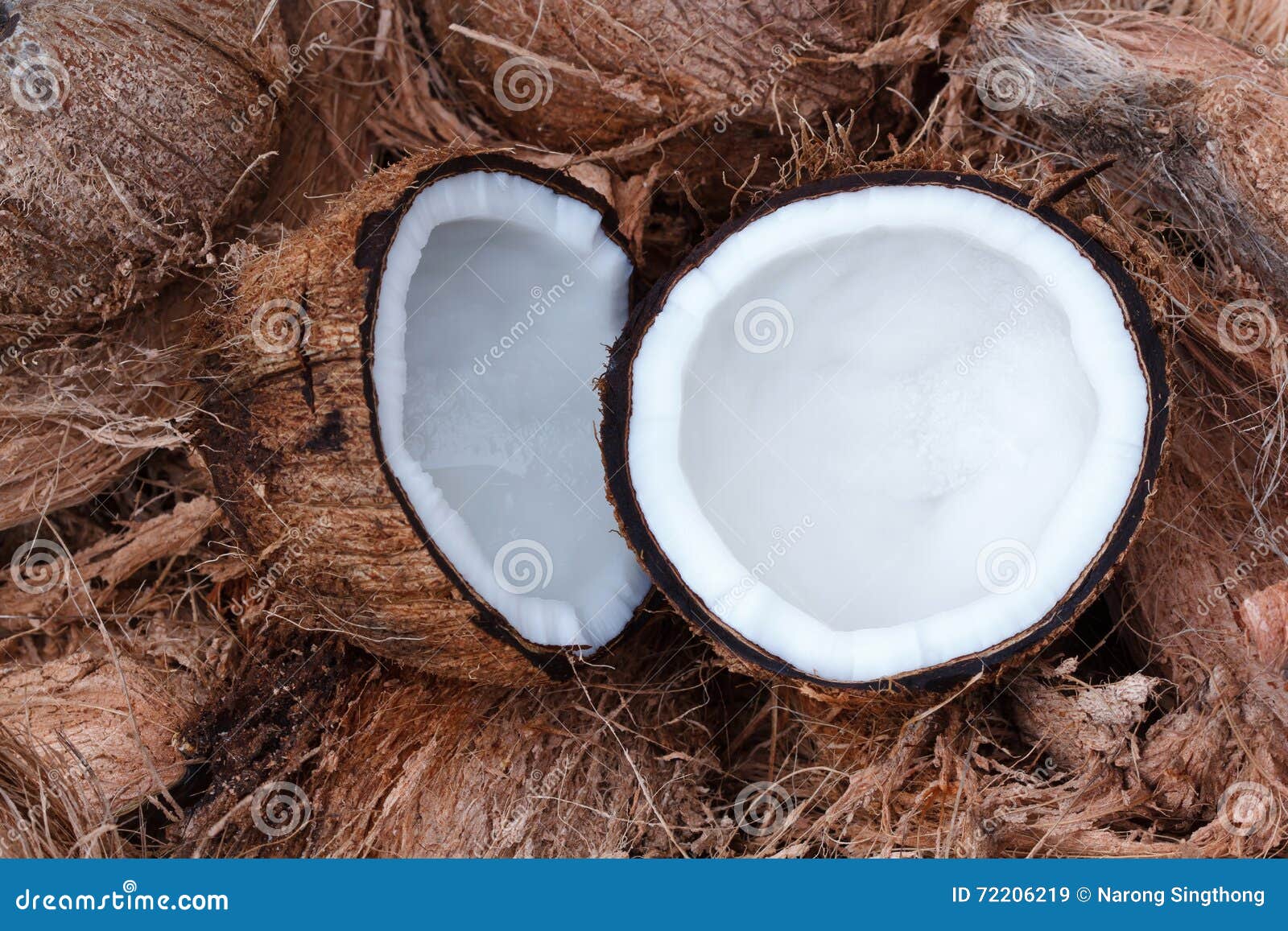 Fresh Coconut on Brown Shell. Stock Image - Image of exotic, tropical ...