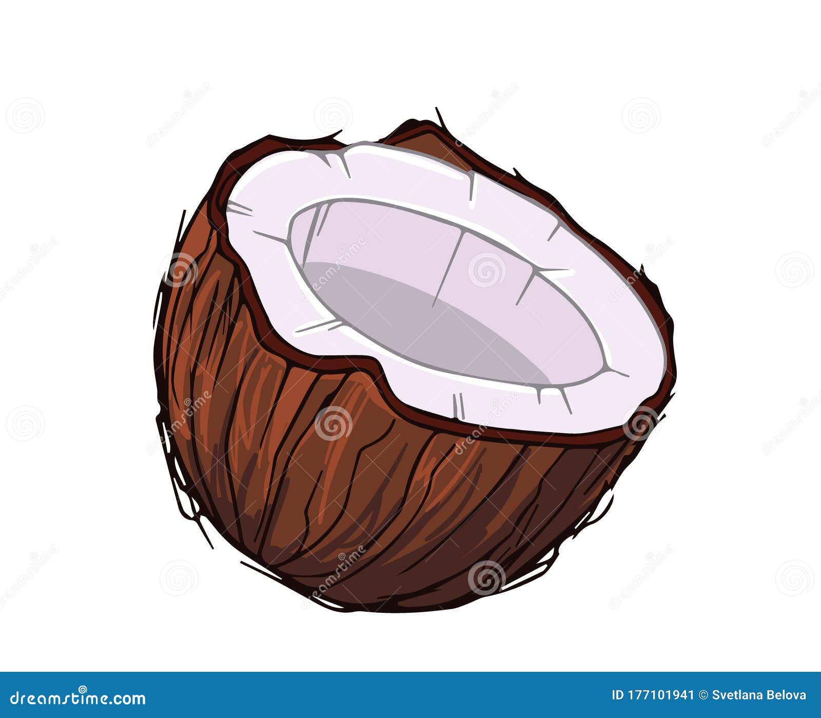 Fresh Coconut. Cartoon Vector Icon Isolated on White Stock Vector ...