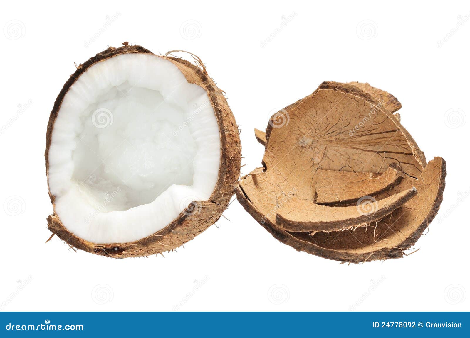 Fresh Coconut and Coconut Shells Stock Photo - Image of broken, husk ...