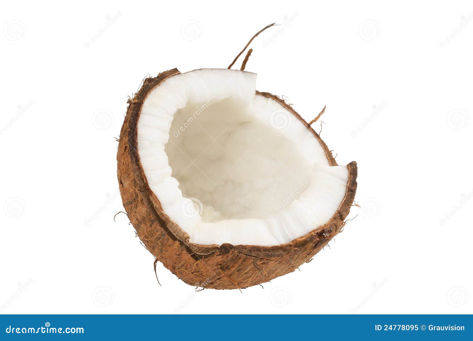 Fresh Coconut and Coconut Shells Stock Image - Image of coconut, fresh ...