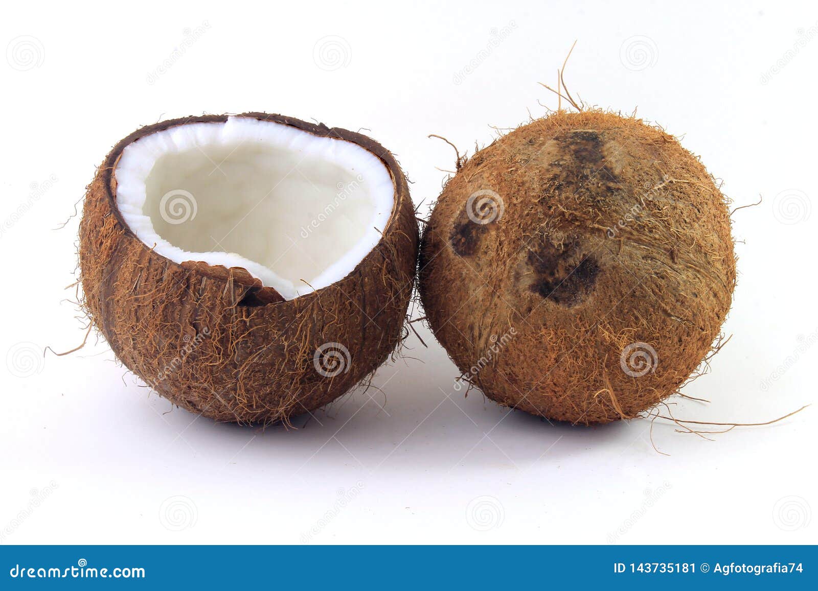 Fresh Coconut Cut in Half Isolated on White Background Stock Image ...