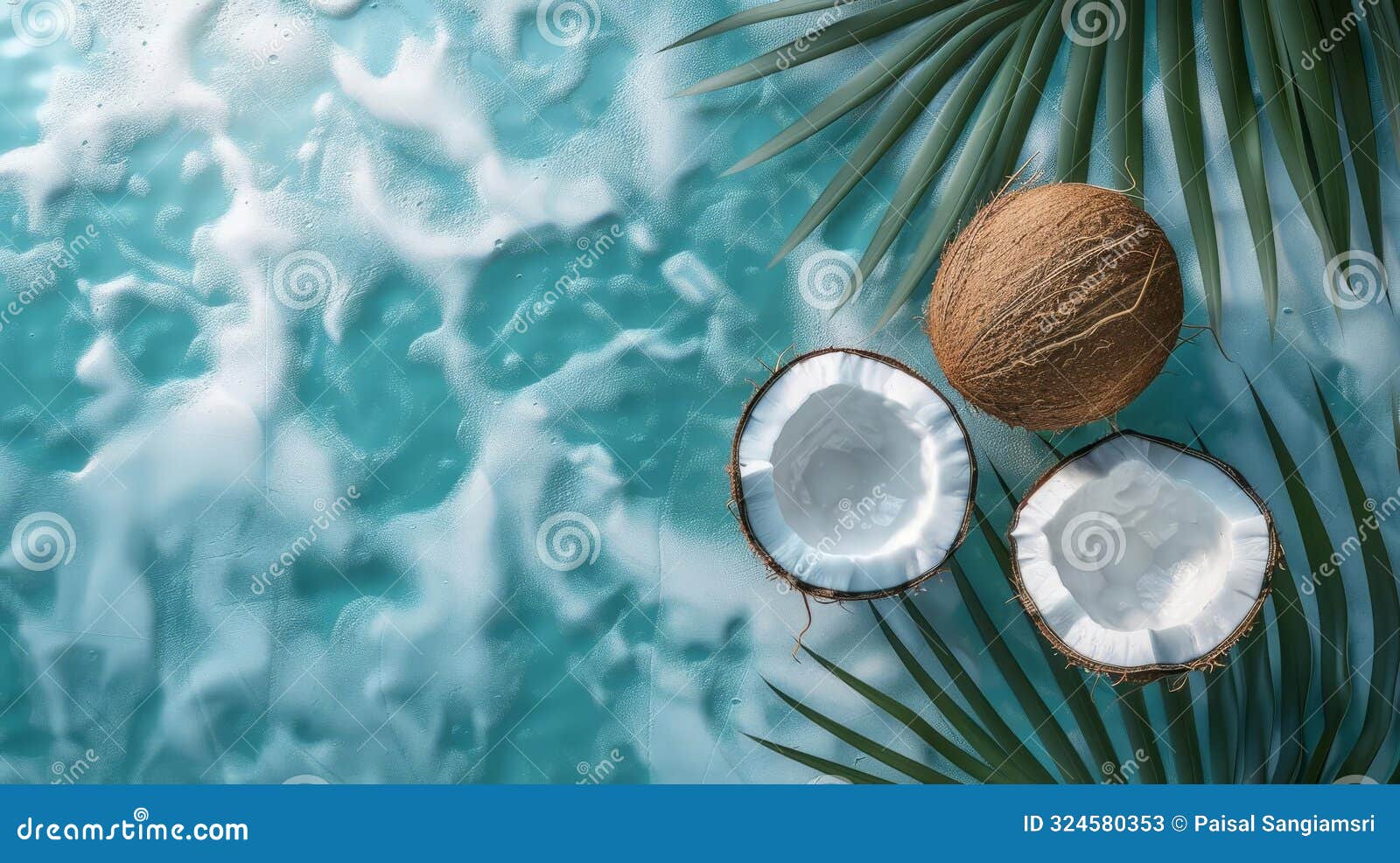 Fresh Coconut Flat Design Top View Ocean Theme 3D Render Complementary ...