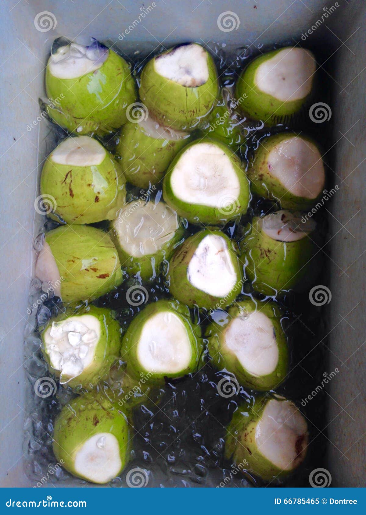 380 Coconut Bucket Stock Photos - Free & Royalty-Free Stock Photos from ...