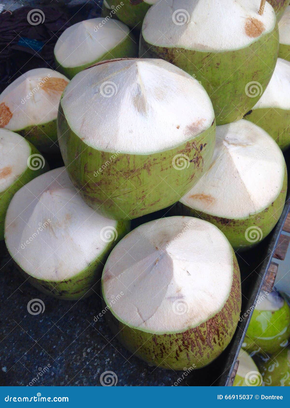 Fresh coconut stock image. Image of nature, coconut, bucket - 66915037