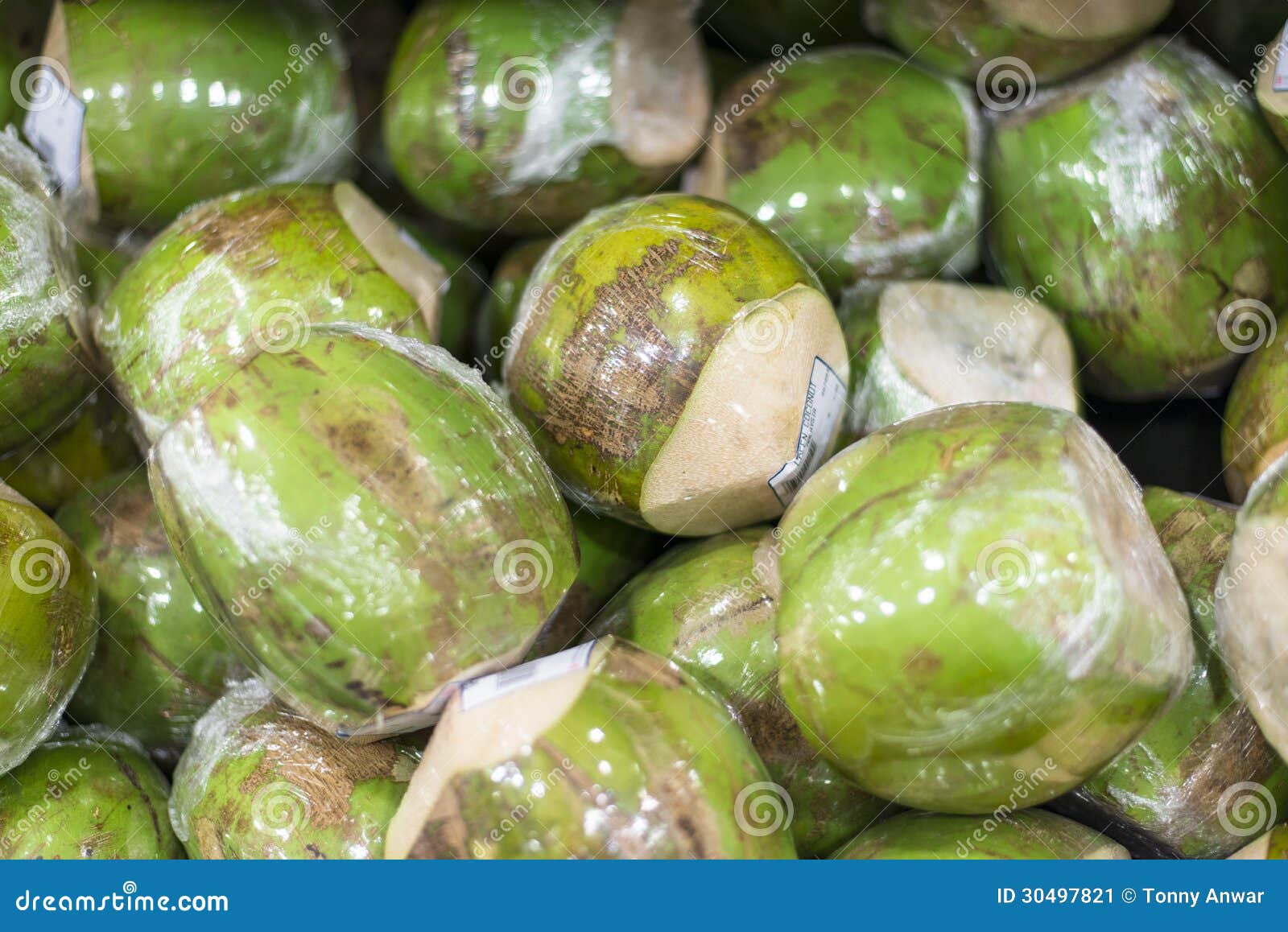 Fresh Coconut stock image. Image of coconut, shrink, wrapped - 30497821