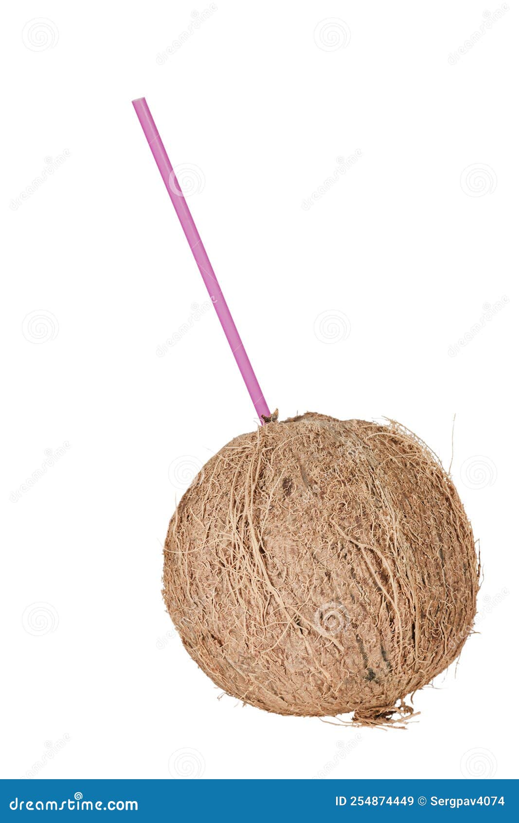 Fresh coconut with a straw stock image. Image of walnut - 254874449