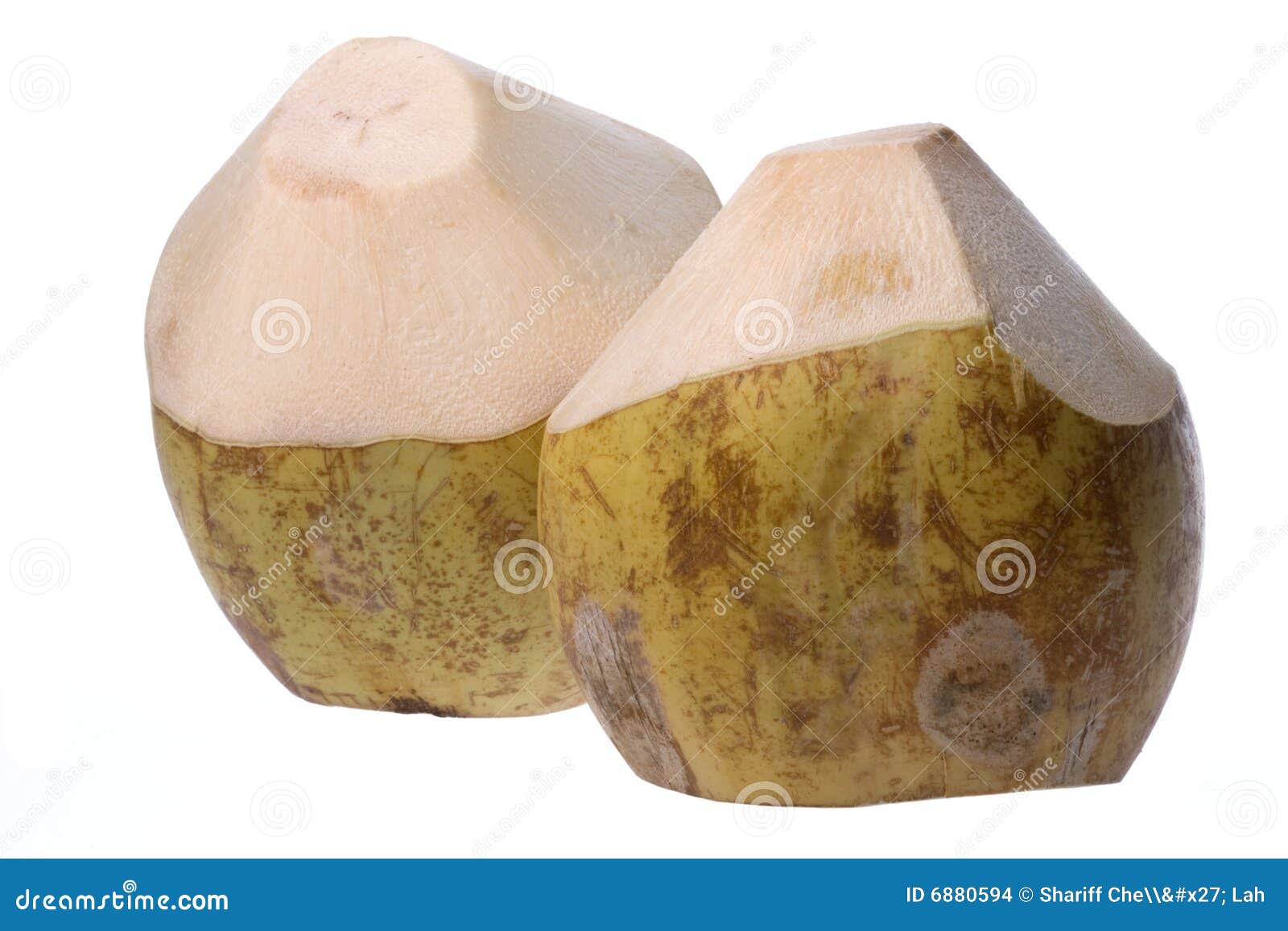 Fresh coconuts stock photo. Image of appetizing, closeup - 6880594