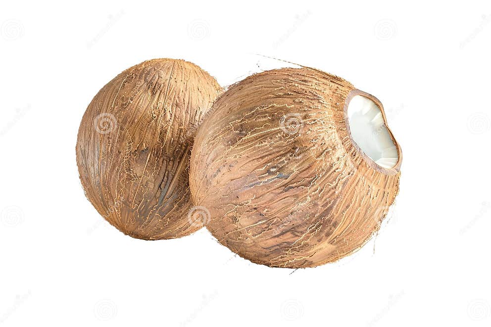 Fresh Coconuts with Rough Shells and One Partially Opened, Showcasing ...