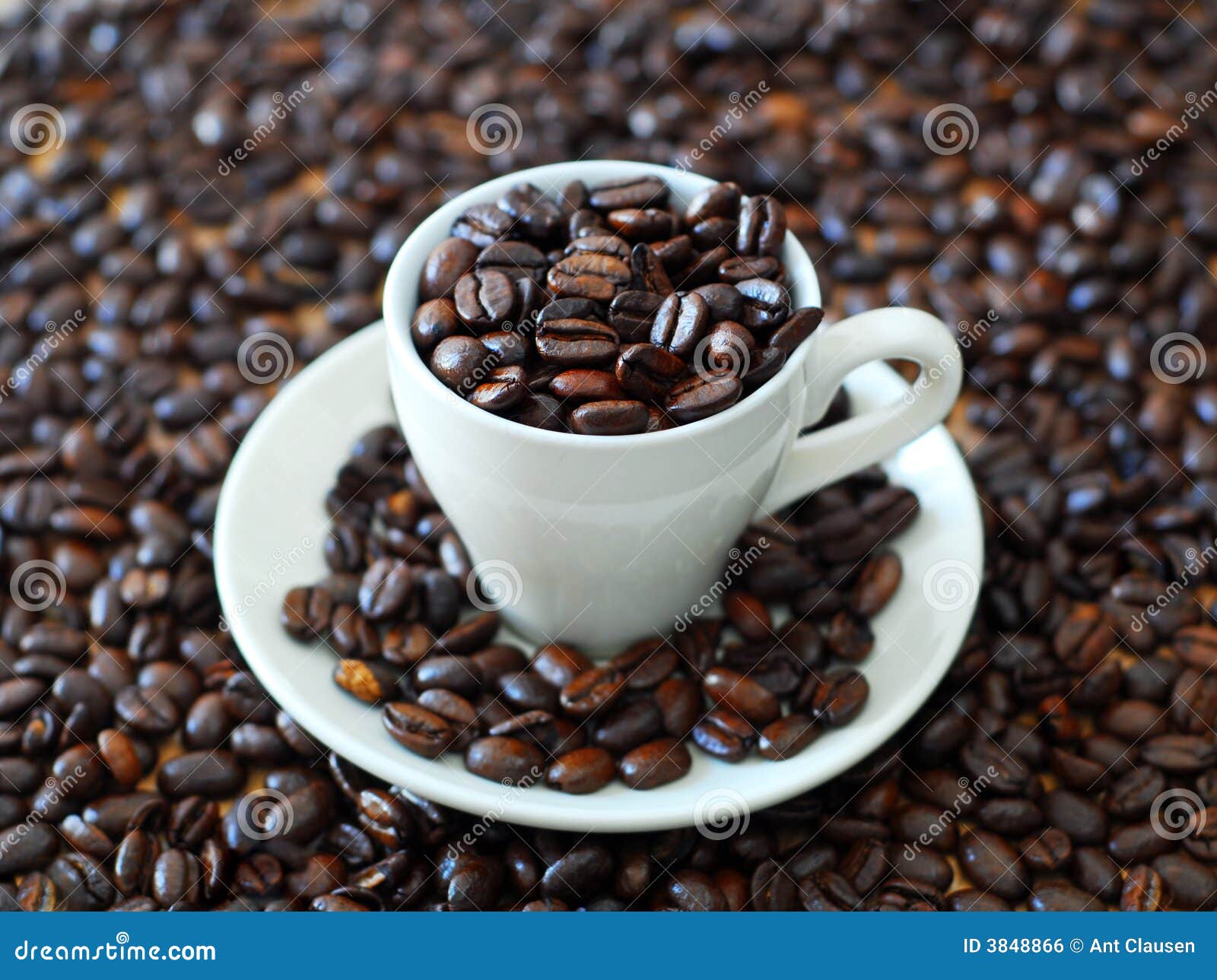 Fresh coffee stock photo. Image of beverage, beans, food - 3848866