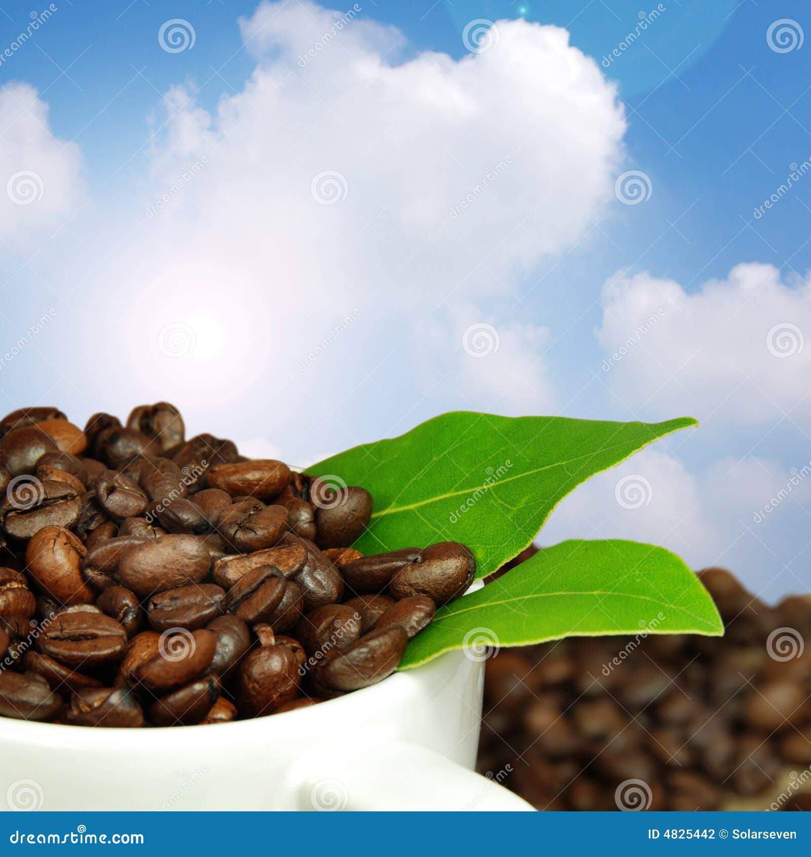 Fresh Coffee stock photo. Image of black, mocha, culture - 4825442
